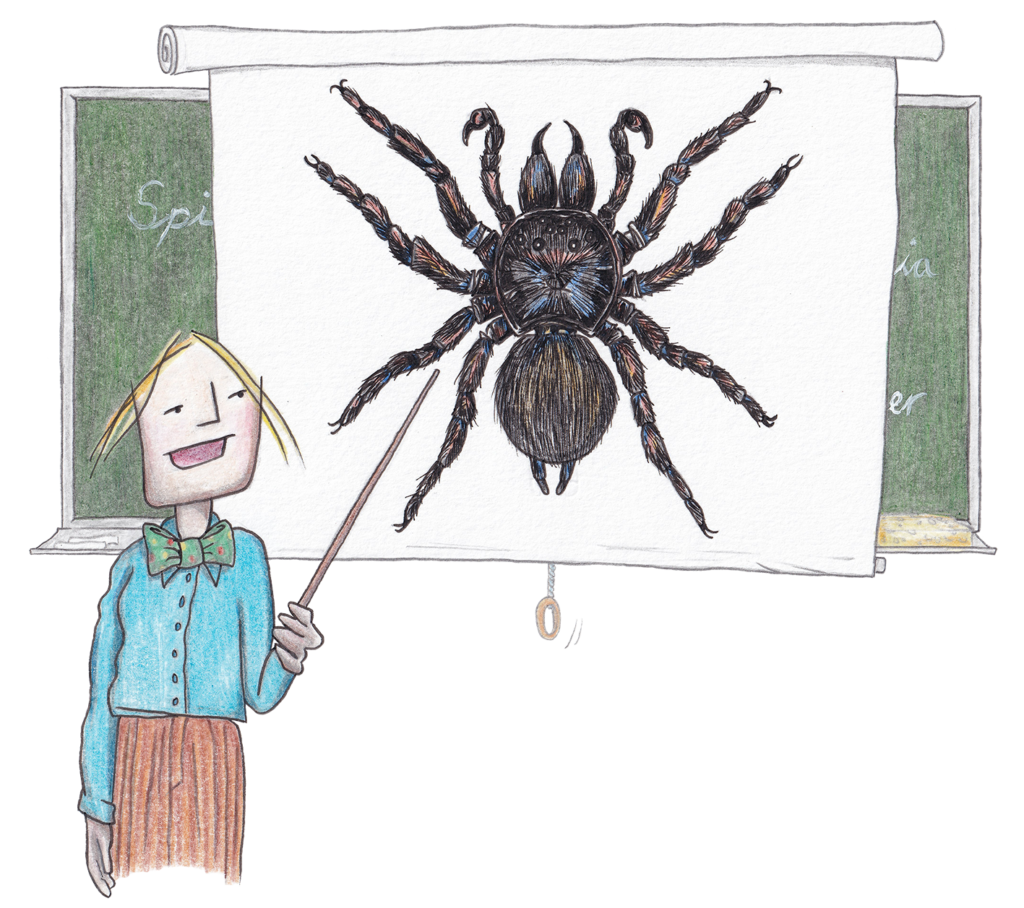 Spider Stories: My Journey from Phobia to Fascination – Australian ...