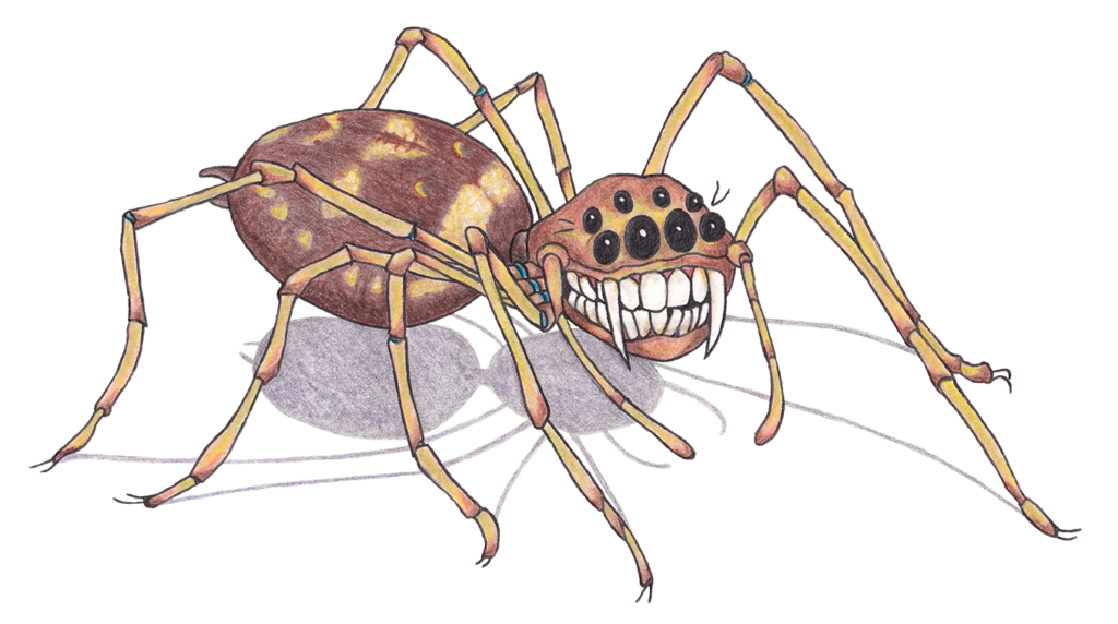 Spider Stories: My Journey from Phobia to Fascination – Australian ...